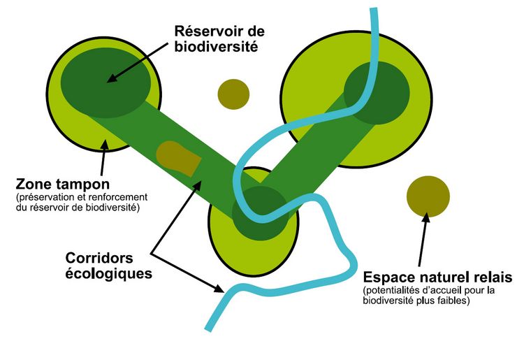 Qu'est-ce qui se TRAME du côté de La Roche Chalais? - ISLE ET DRONNE